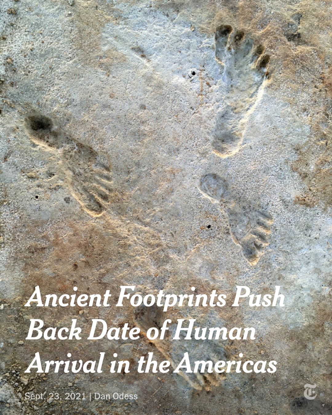 Modern shoes, modern gait, modern problems... - Rose City ...